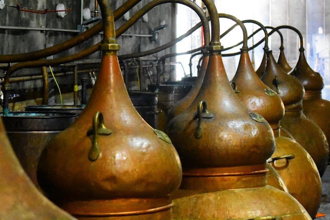 Royal Mash – Vintage Vodka